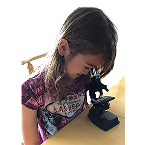 The Magic School Bus: Microscope Lab