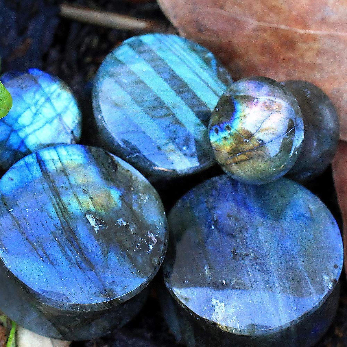 Covet Jewelry AAA Grade Natural Labradorite Stone Saddle Plug (00GA)