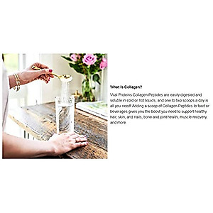 Vital Proteins Natural Whole Nutrition Collagen Peptides - Pasture Raised, Grass Fed, Paleo Friendly, Gluten Free, Single Ingredient - 24 Ounce