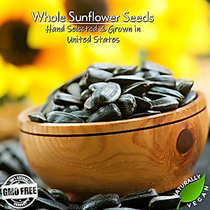 GERBS Jumbo Raw Whole Sunflower Seeds, 32 ounce Bag, Unsalted, Top 14 Food Allergen Free, Non GMO, Vegan, Keto, Paleo Friendly