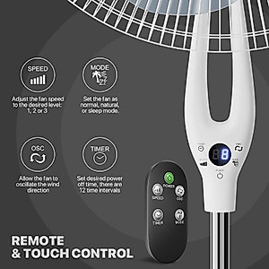 mollie Oscillating Pedestal Fan with Remote Control 12H Timer Portable Adjustable Height 6 Blades Quiet Air Circulator Standing Floor Fan for Bedroom Home White