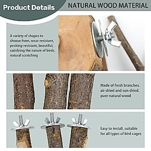 CZWESTC 8 Pieces Natural Wood Bird Perch Wooden Parrot Perch Stand Fork Toys Hanging Multi-Branch Perch Platform Hammock Swing Toy for Macaws, Small Parakeets, Conures, Budgies, Finches