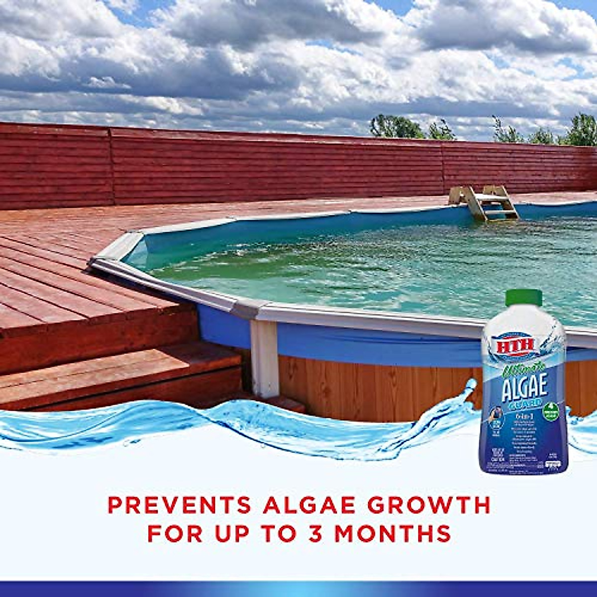 HTH 67033 Ultimate Algae Guard Swimming Pool Algaecide Cleanser, 1 qt