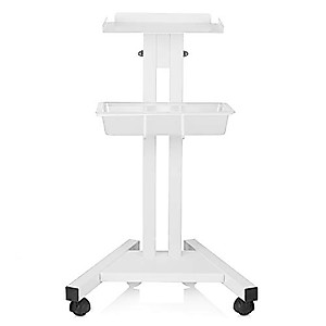Esthology Rolling Equipment Cart