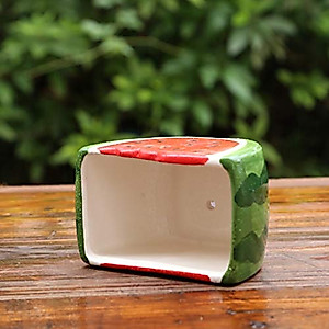 WAIT FLY Set of 3 Cute Watermelon Shape Ceramics Planters Gardening Pots Decoration for Cactus Succulent Flower Decoration for Home Garden