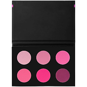 SHANY Shimmer & Matte Cool-Toned Blush Palette - Layer 5 - Refill for the 6 Layer Mini Masterpiece Collection Makeup Set