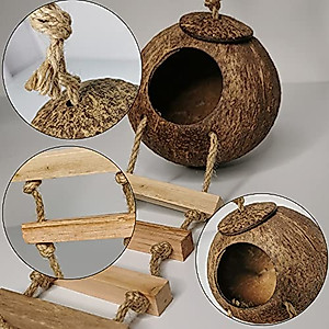 Hanging Bird House with Ladder,Natural Coconut Fiber Shell Bird Nest Breeding for Parrot Parakeet Lovebird Finch Canary,Coconut Hide Bird Swing Toys for Hamster,Bird Cage Accessories,Pet Bird Supplies