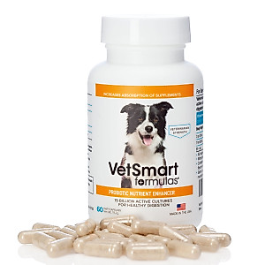 Pet Probiotics for Dogs Supplement - Supports Digestive Enzymes for Nutrient Absorption - 15 Billion Active Probiotic Cultures Attack Inflammation to Prevent Infection