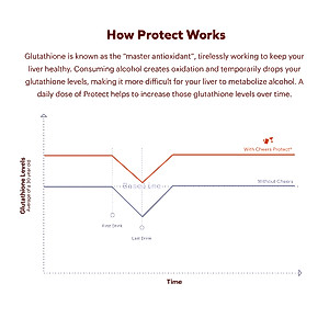 Cheers Liver Combo | Restore + Protect | Support Your Liver & Feel Better After Drinking | DHM, L-Cysteine, Milk Thistle, Prickly Pear, B-Vitamins | 12 Doses Restore, 30 Doses Protect | Supplements