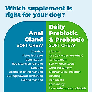 Glandex by Vetnique Daily Probiotics for Dogs with Prebiotics for Optimal Gut Health & Immune Support with Digestive Enzyme & Fiber All Natural Bacon Flavor Soft Chews (60ct Soft Chews)