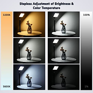 Key Light, Dazzne D20 Video Conference Lighting, Streaming Lighting Dimmable Bi-Color 3200-5600k Video Light with Mini Tripod for Broadcast/Zoom Meetings/Game/Tiktok