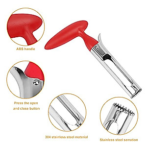 KUFUNG Apple Corer - Easy to Use Durable Apple Corer Remover for Pears, Bell Peppers, Fuji, Honeycrisp, Gala and Pink Lady Apples - Stainless Steel Best Kitchen Gadgets Cupcake Corer (M, Red)