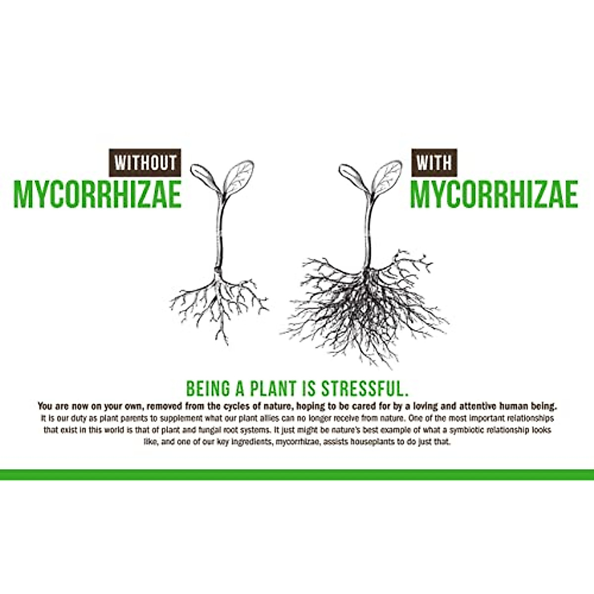 All Purpose Plant Superfood and Fertilizer | Organic Premium Concentrate | Makes 4 Gallons | Easy Use 3oz (1 Shaker)