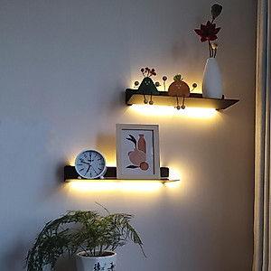 LJYMYSAK Linear Floating Shelf Industrial Heavy Duty Metal Wall Mounted Modern Rustic Farmhouse Designed Shelf Living Room Metal Wall Decor Shelf (8"*12" Black)