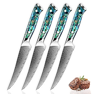 SENKEN 4-Piece Damascus Steak Knife Set - Umi Collection - 67-Layer Japanese VG10 Steel, Real Deep-Sea Abalone Shell Handle (4-Piece Damascus Steak Knife Set)