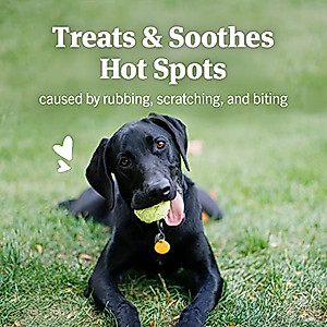 PetArmor Hot Spot Skin Remedy for Dogs, 4 oz