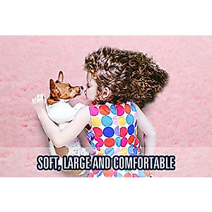 YOH Fluffy Pink Area Rugs for Bedroom Girls Rooms Kids Rooms Nursery Decor Mats 2.6’x5.3’