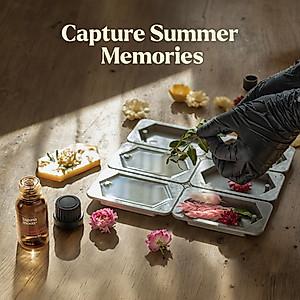 Fragrance Oil Set - Premium Grade 10 Pcs Scented Oils for Candle Making, Soap Scents, Aroma Beads, Bath Bombs, Perfume & Flavoring Oil for Lip Gloss - Organic Essential Oils with Fruity Scents (10ml)