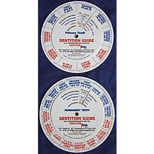 5 Dentition (Tooth Eruption) Guides/Practitioner and Dental Student Exam Study