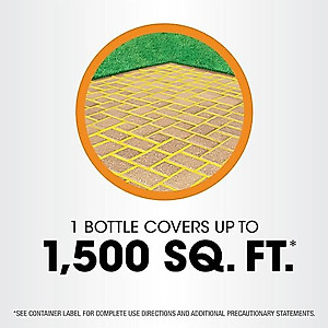 Roundup Poison Ivy Plus Tough Brush Killer₂ Concentrate, Visible Results in Hours, 32 fl. oz.