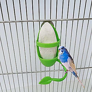 Plastic Bird Feeding Holder for Cuttlebone on Cage Parrot Cage Stands Parrots Feeder Perches,3 Pieces