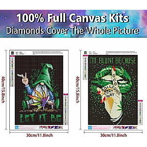 LWZAYS 5d Diamond Painting,Diamond Art Kits 2 Pack Crystal Rhinestone Gem Art Paint with Diamonds for Adults,Arts and Crafts for Home Wall Decor(Let It Be I am Blunt:11.8x15.8 inch)