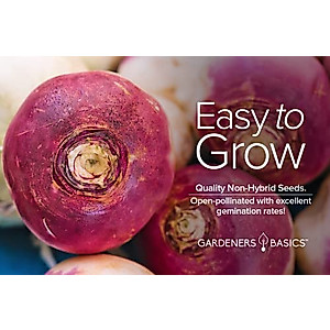 Turnip Seeds for Planting (Purple White Top Globe) Heirloom, Non-GMO Vegetable Variety- 1 Gram Seeds Great for Summer, Fall and Winter Gardens by Gardeners Basics