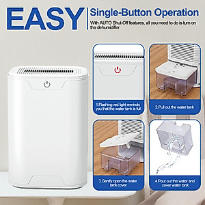 COYCYQI Mini Portable Dehumidifiers, 215 sq. ft 25oz Capacity Small Dehumidifier with Drain Hose and AUTO Shut-Off, Ultra Quiet for Bathroom, Bedroom, Closet, Wardrobe, Kitchen, RV,Home