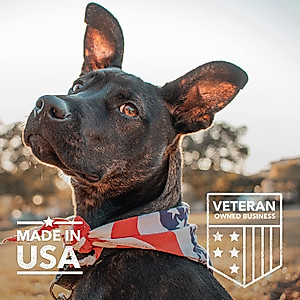 iHeartDogs Probiotic Pill Paste Wrap for Dogs – 4 oz Chicken & Bacon Flavored Pill Masker for Picky Dogs - Hide Medication in This Tasty Hide-A-Pill Dough