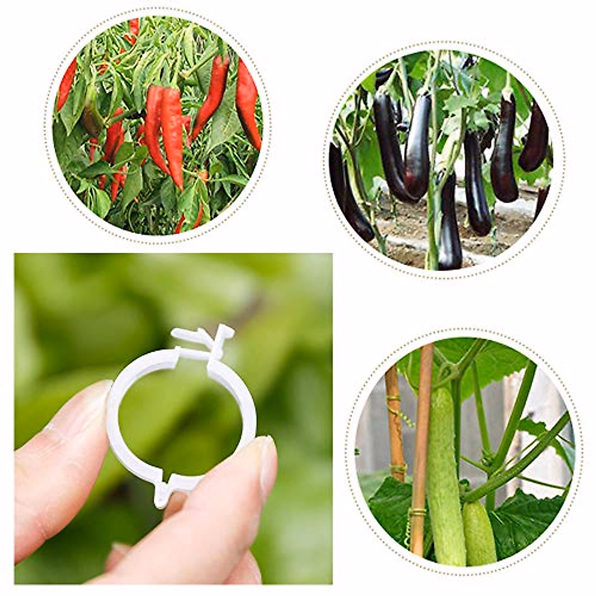 300 PCS Plant Support Garden Clips,Tomato Vine Clips,Durable Crop Clips in White for Flower Vine Twine Tomato Orchid to Grow Upright and Healthier