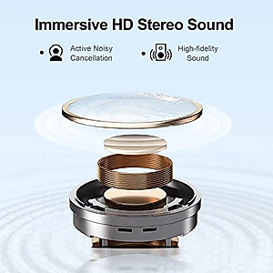 Pinetree True Wireless Earbuds, Bluetooth 5.0 Headphones, Noise Cancelling Crystal Clear Sound, in-Ear Stereo Earphones 100 Hours Long Battery time,Superior Headphones (Black)