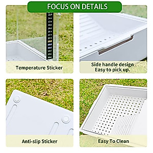 BETAZOOER Turtle Tank with Adjustable Water Pump Filter, Full View Visually Tortoise Aquarium Habitat, Easy Changing Water and Clean for Small Amphibious Creatures Reptiles (15.7×11.8×10Inch)