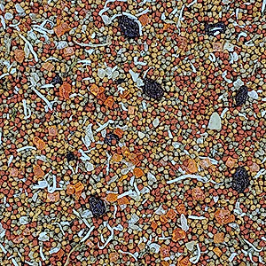 Higgins 2 Pack of Intune Harmony Parakeet Food, 2 Pounds Each