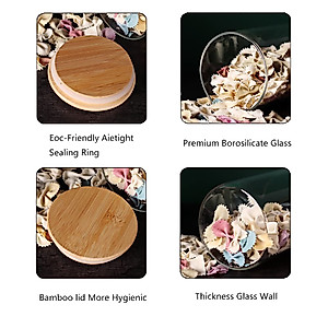 Tzerotone Glass Flour and Sugar Containers, Set of 3 Large Glass Flour Canister with Airtight Lids, Glass Pantry Storage Containers for Flour, Suger, Rice, Salt (100 OZ/54 OZ/27 OZ)