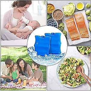 Teamoy Breastmilk Ice Pack(Pack of 2), Bottle Ice Packs for Breastmilk Storage and Breastfeeding Working Mom, Small