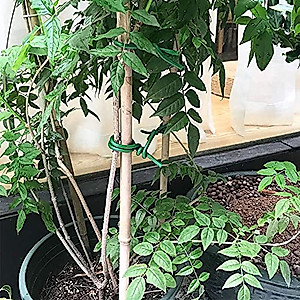 Reusable 3.5mm Garden Plant Twist Tie, Heavy Duty Soft Wire Tie for Gardening, Home, Office (Green, 65.6feet)