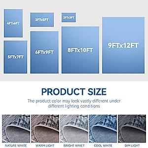 8x10 Area Rugs for Living Room Machine Washable Modern Abstract Printed Rug Soft Non Slip Carpet Stain Resistant Non-Shedding Rugs for Bedroom Dining Room Kitchen Office