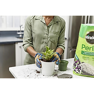 Miracle-Gro Perlite, Enriched with Plant Food, Improves Drainage and Aeration in Potting Mixes, For Container Plants, 8 qt., 3-Pack