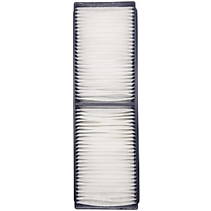 Leankle Air Filter Replacement for Epson ELPAF30/ V13H134A30, PowerLite D6150/ D6155W/ D6250, PowerLite Pro G7000W/ G7100/ G7200W/ G7400U/ G7500U/ G7800/ G7805/ G7905U