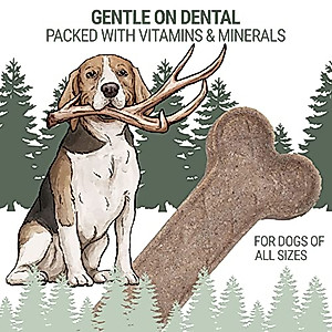 Antler and Himalayan Cheese Dog Chew | Long Lasting, Stain Free, Protein Rich, Low Odor | 100% Natural, Healthy & Safe | No Lactose, Gluten Or Grains | Antler Bone | for Dogs 45 Lbs & Smaller