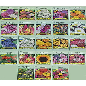 Set of 23 Valley Heirloom Green Flower Seed Packets(Guaranteed 23 Different Varieties as Listed and Pictured)
