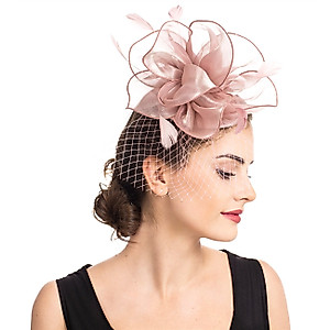 SAFERIN Fascinator for Women Hair Clip Hat Bowler Feather Flower Veil Wedding Party Hat Tea Hat（TA2-Pink）