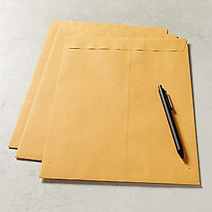 Amazon Basics Catalog Mailing Envelopes, Peel & Seal, 9x12 Inch, Brown Kraft, 100-Pack