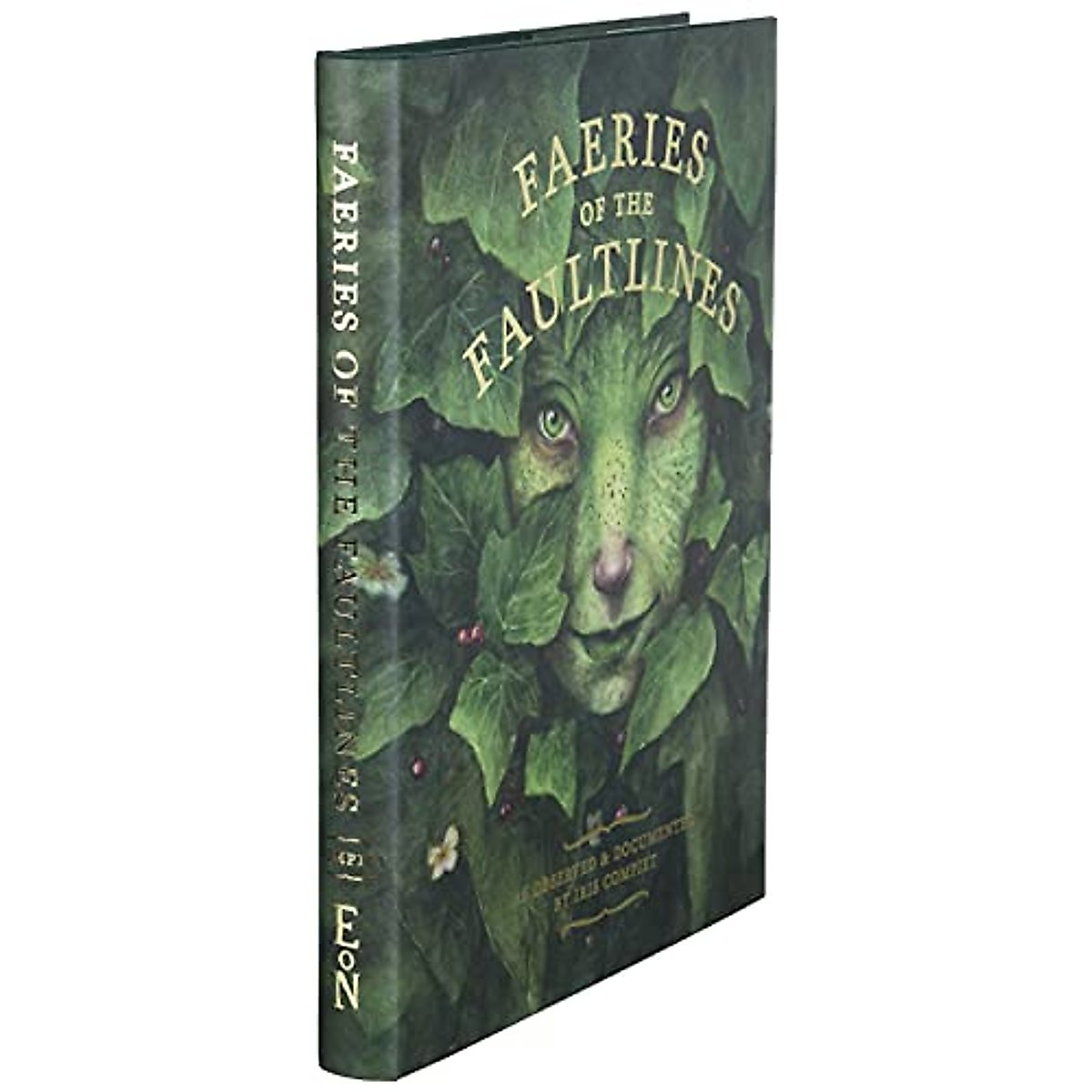 Faeries of the Faultlines: Expanded, Edited Edition