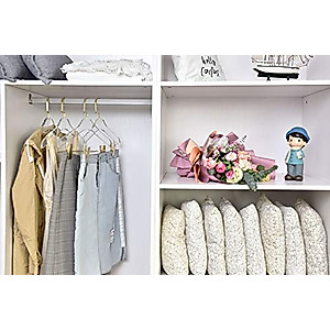 Quality Clear Acrylic Skirt Pant Hangers with Clips – 4 Pack, Stylish Clothes Hanger with Gold Hooks - Coat Hanger for Dress, Suit - Closet Organizer Adult Hangers - Cloth Hangers (Gold Hook, 4)