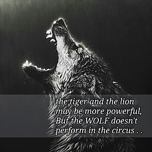 Viking Wolf Spinner Ring for Men Women, Stainless Steel Wolf Head Wolves Spirit Anxiety Band Ring, Fenrir Wolf Finger Rings, Wolf Fans Jewelry Gifts, Black, Size 11