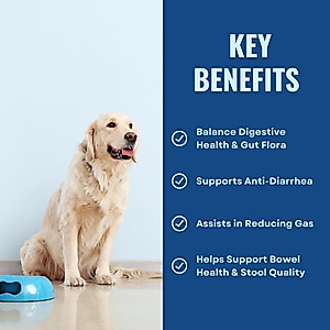 Gut Health for Dogs | 3 in 1 Prebiotic Probiotic Postbiotic | Supports Digestive Health, Anti Diarrhea | Puppy to Senior Dog | Powder 60 g