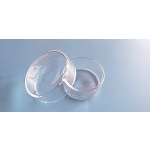 Beyondsupply-lab Glass Petri Dish Clear Borosillicate 30mm(1.18inch=1 3/16 ″) a Set of 5