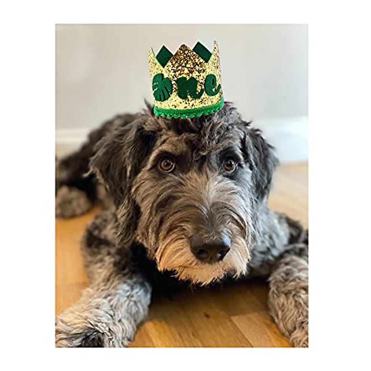 Ullovit First 1st Birthday Crown for Baby Boys Prince, Sparkle Gold Green Wild One Birthday Hat Headband Cake Smash Photo Decoration by Moonlightgo