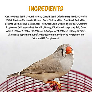 Vitakraft Canary Egg & Honey Treat Sticks 2 Pack, 1.4 Ounce